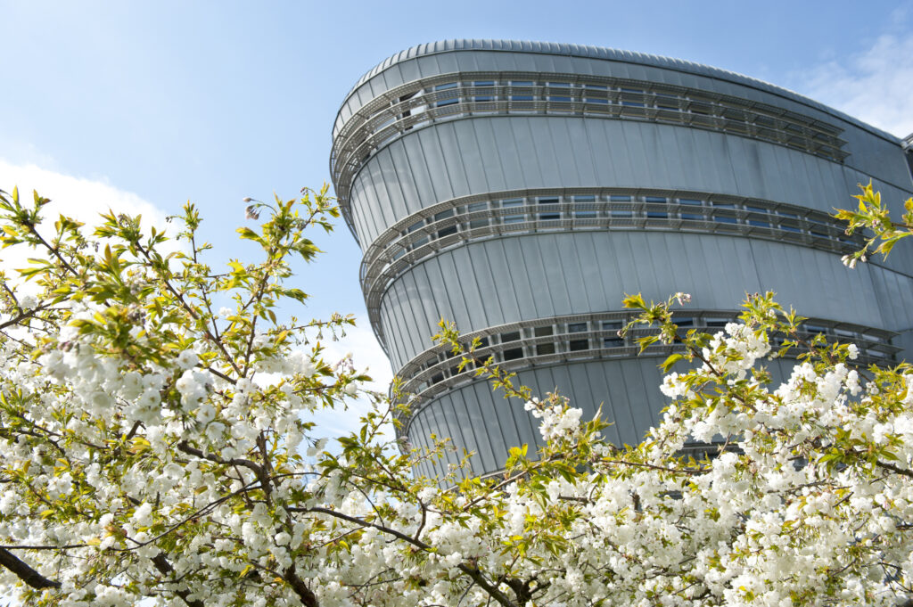 Homepage - Surrey IAS