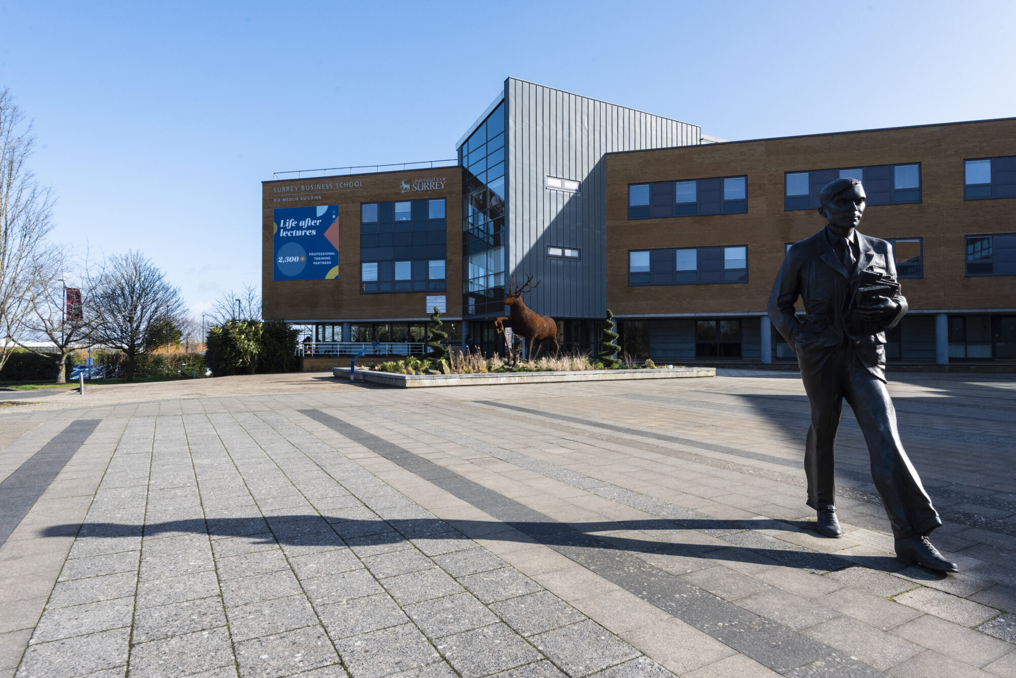 Fellows - Surrey IAS